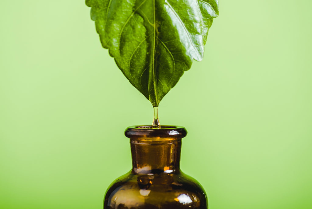 Standardized Plant extract – NUTRISCENT