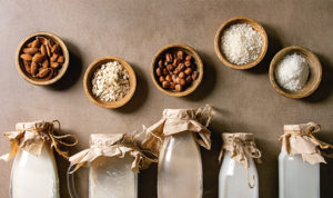 Plant based Protein – NUTRISCENT