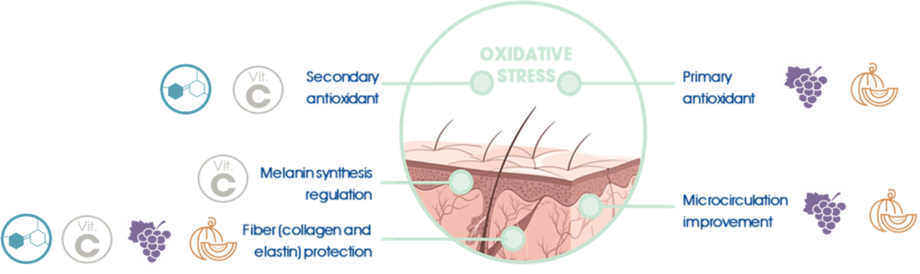 Skin AX2 – NUTRISCENT